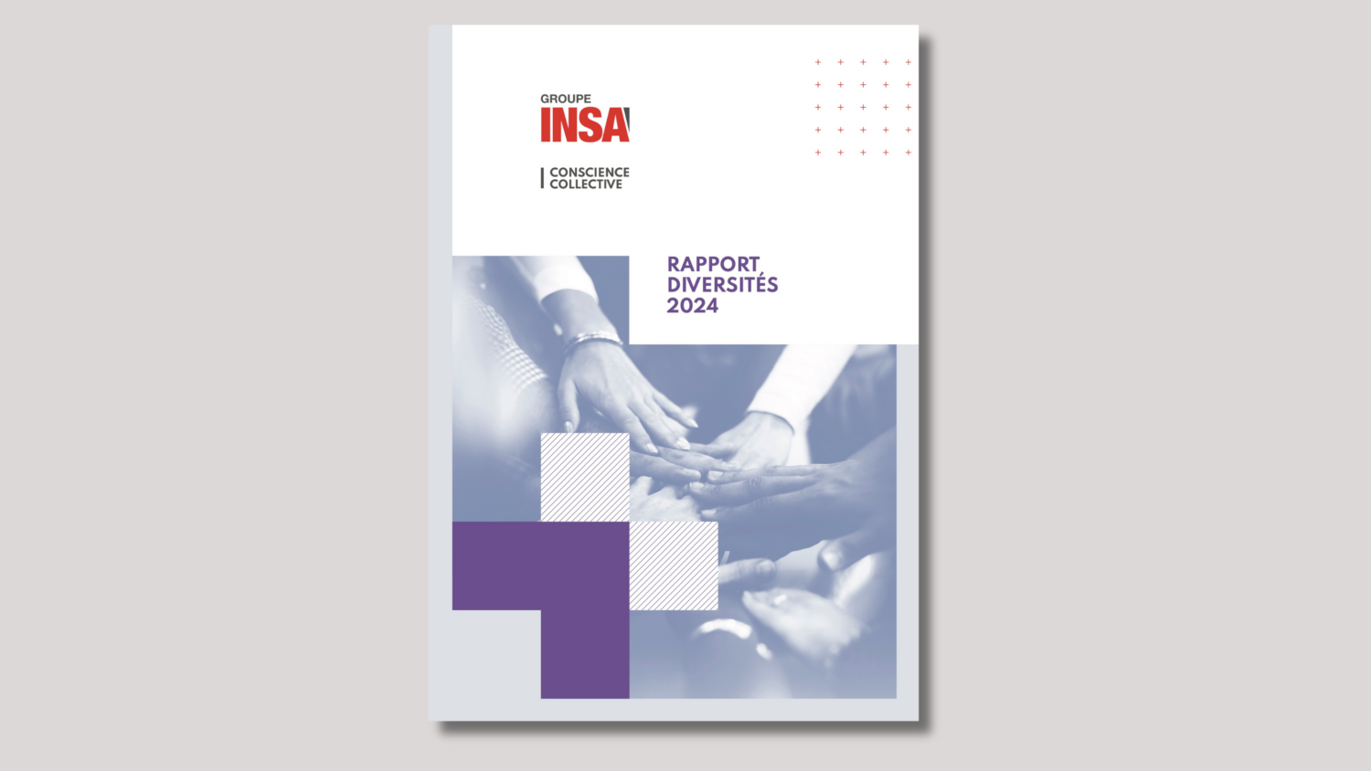 Le Groupe INSA publie son Rapport diversités et constate une ...